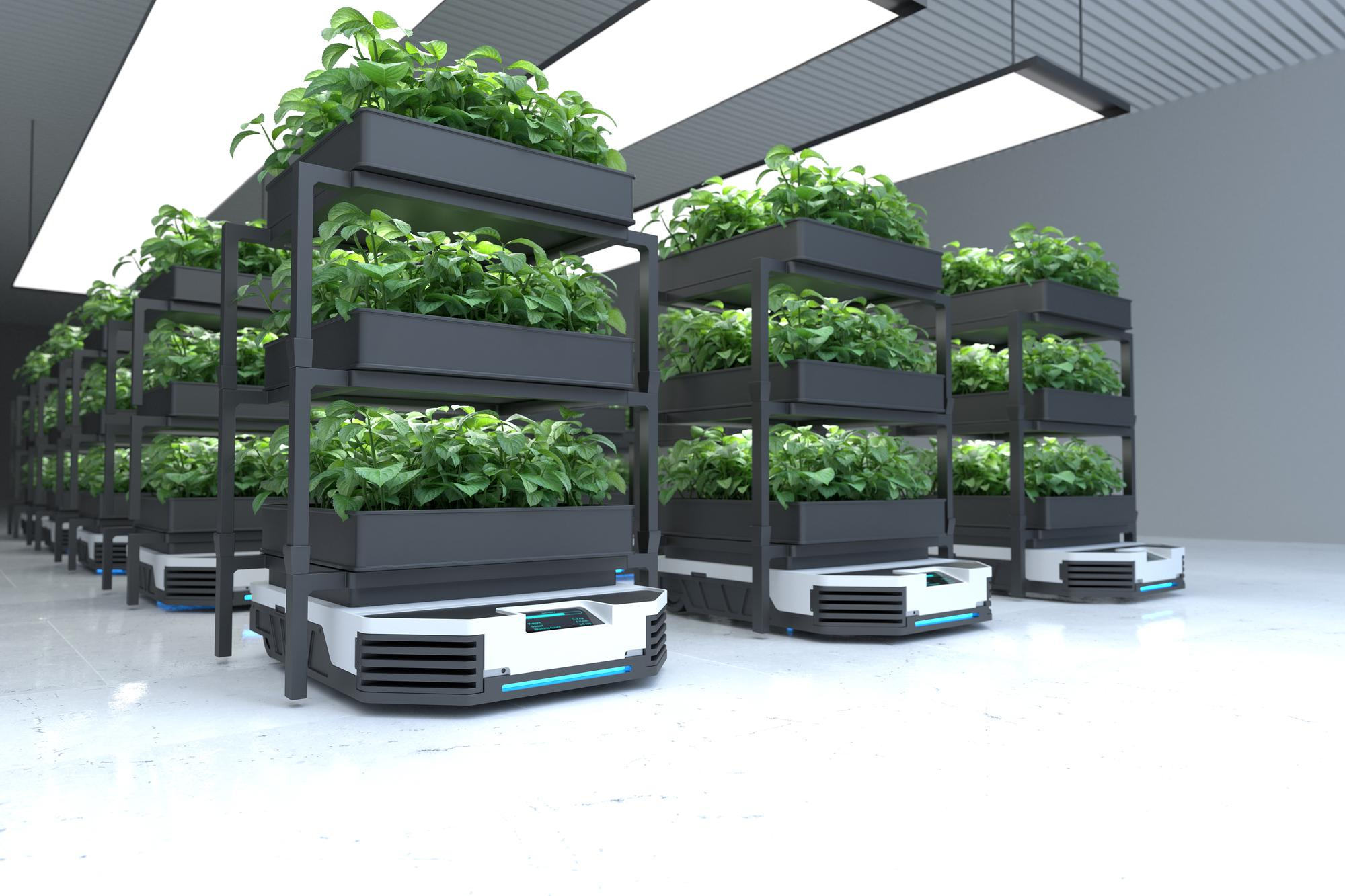 F&B/Smart Farm - CSE Automation cor